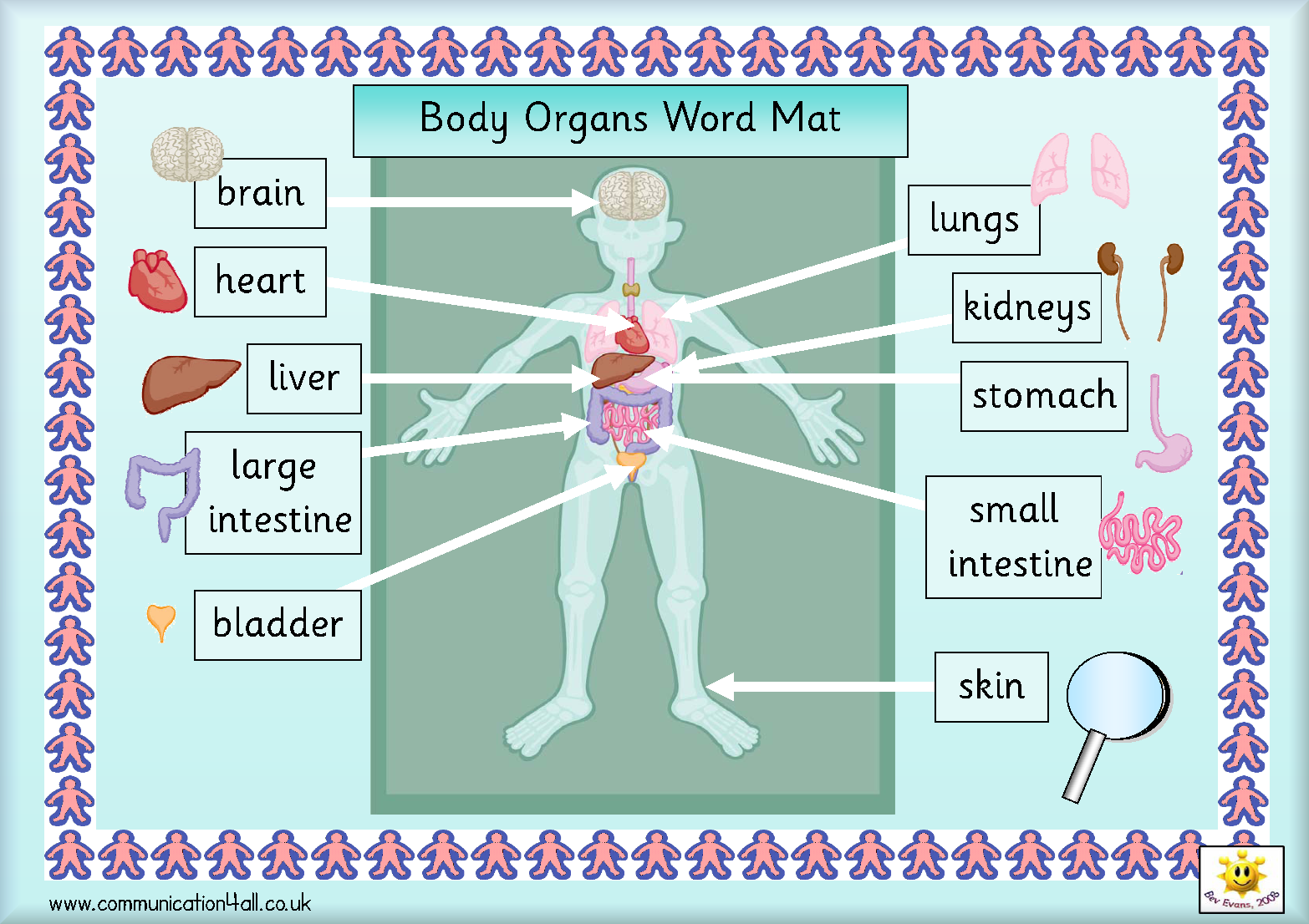 HumanBody